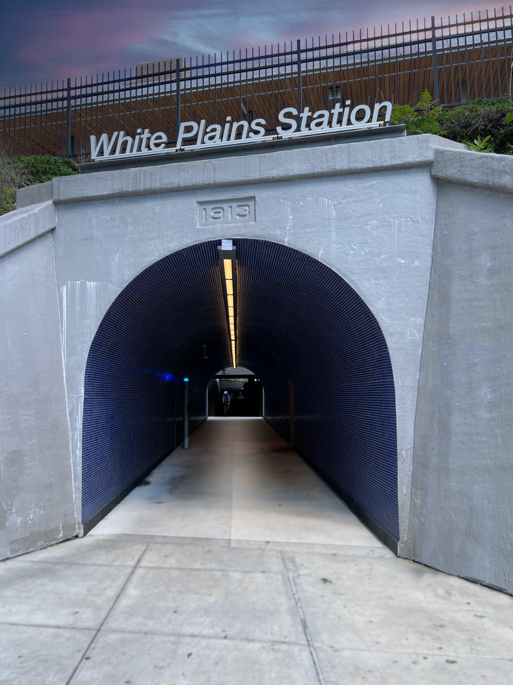 White Plains Station Selux