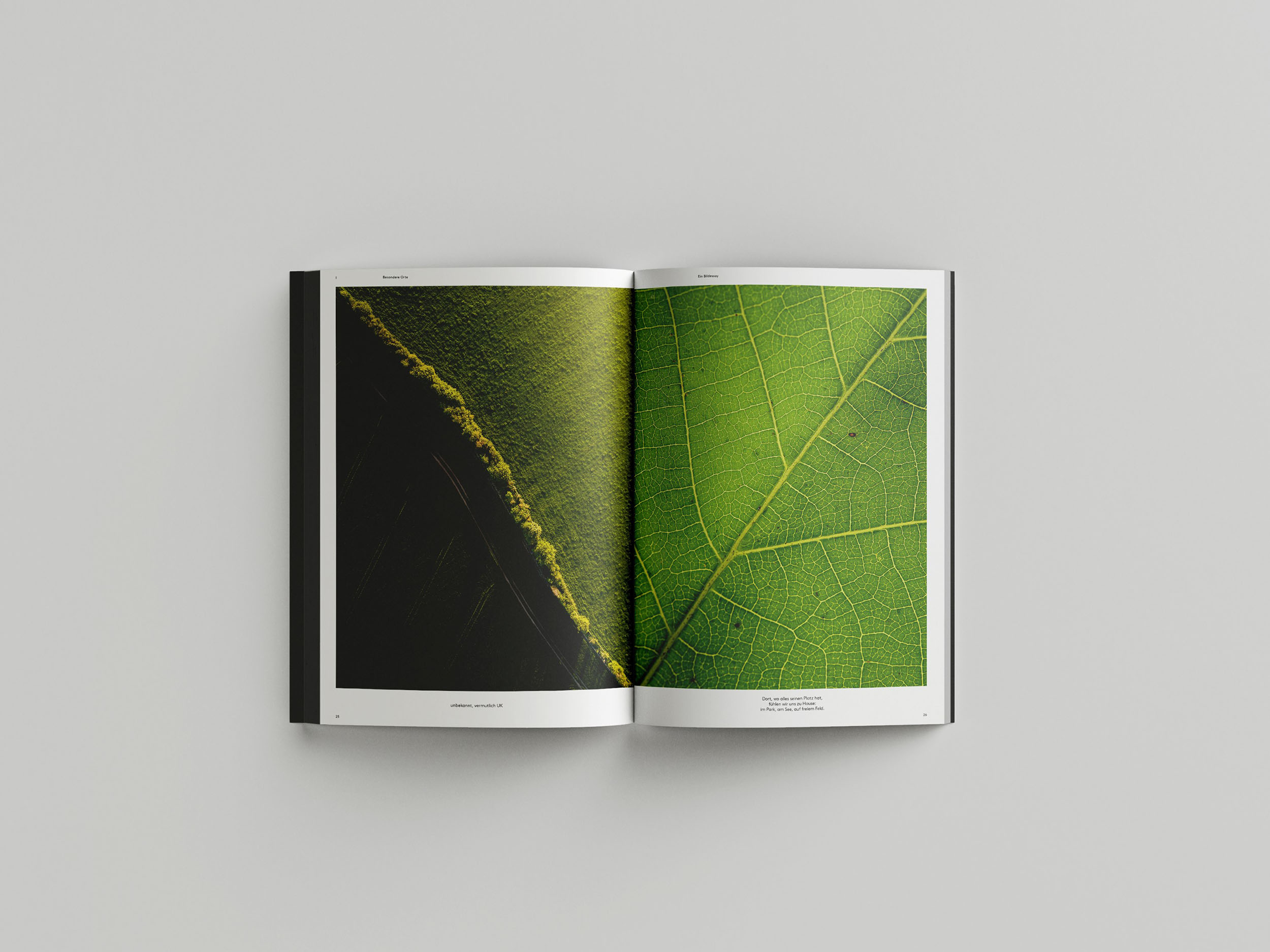 The Selux Book Selux