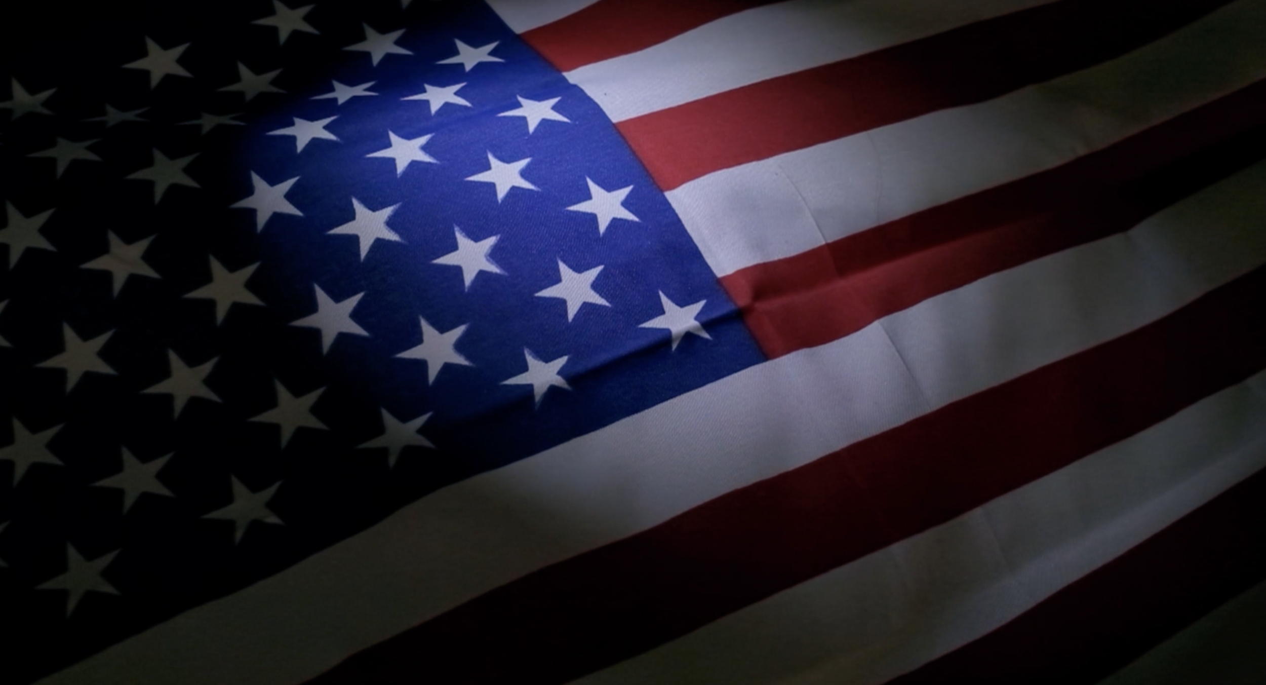Buy American Selux